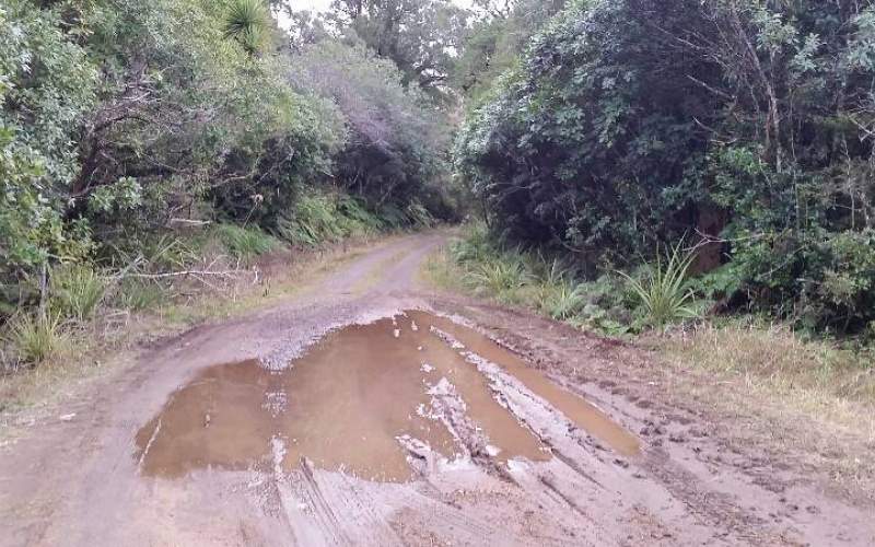 Taurewa Loop Track Carpark | Freedom/Basic Camp | New Zealand